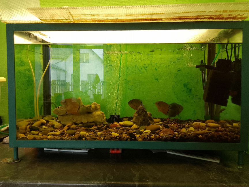 Аквариум север умов продам