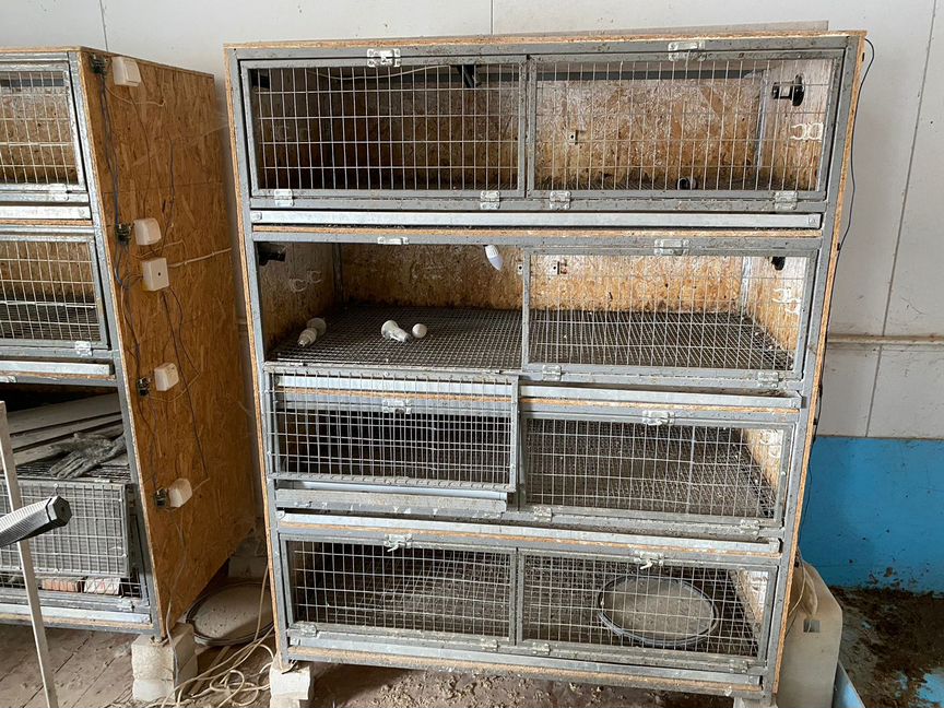 Брудер для цыплят самодельный б/у