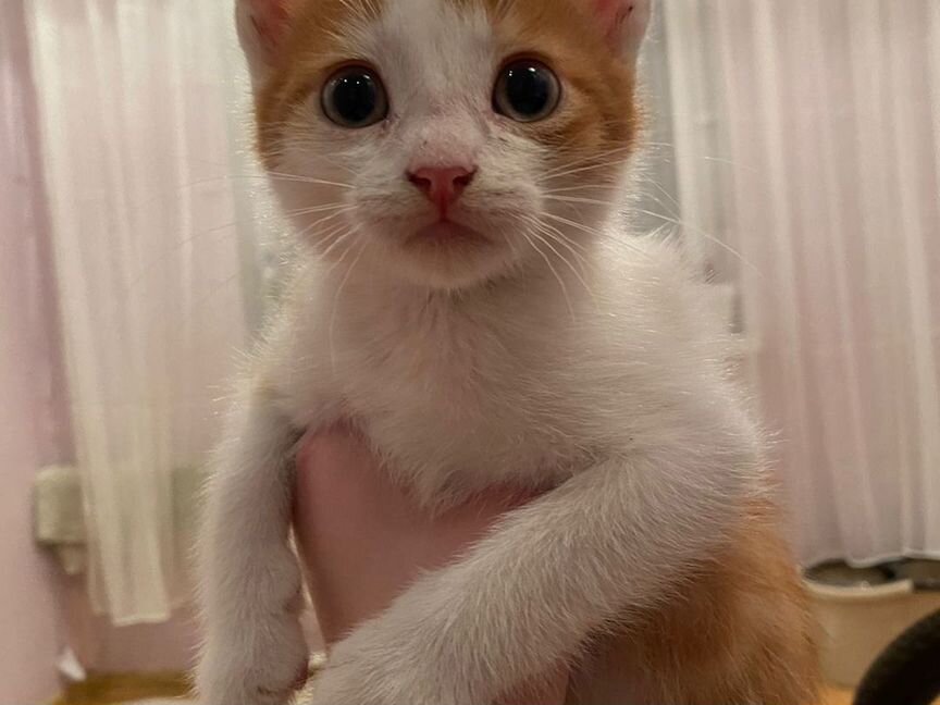 Малышик-мальчик в добрые ручки