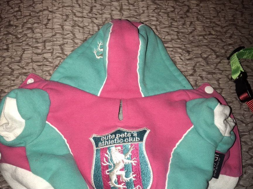 Одежда для собак