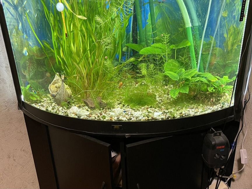 Аквариум Juwel Trigon 190 с оборудованием