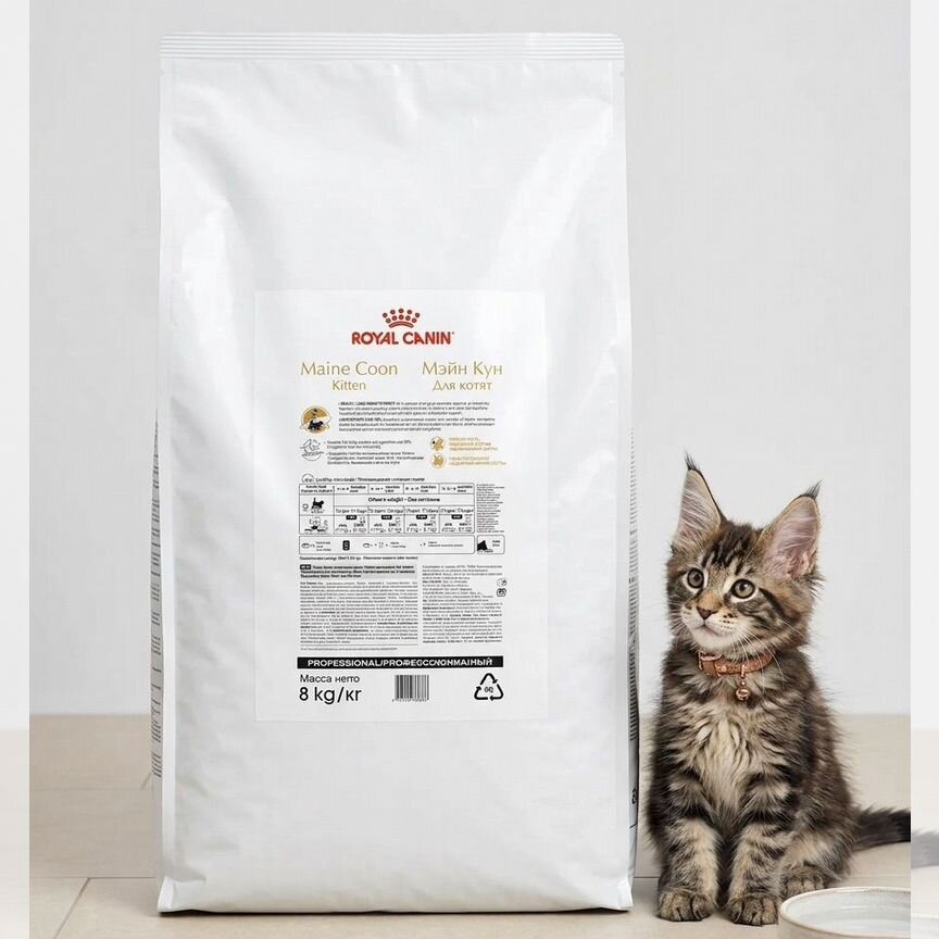 Royal Canin для для котят мейн кун, 8 кг про роял