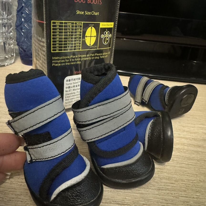 Обувь для маленьких собак