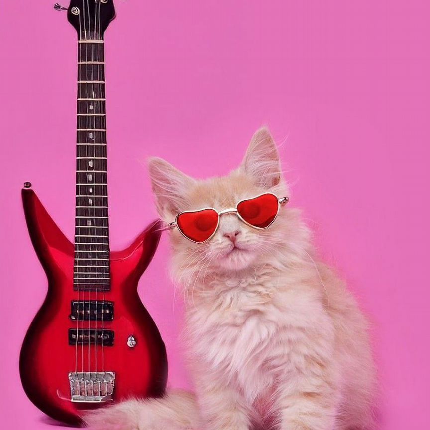 Кремовый котик