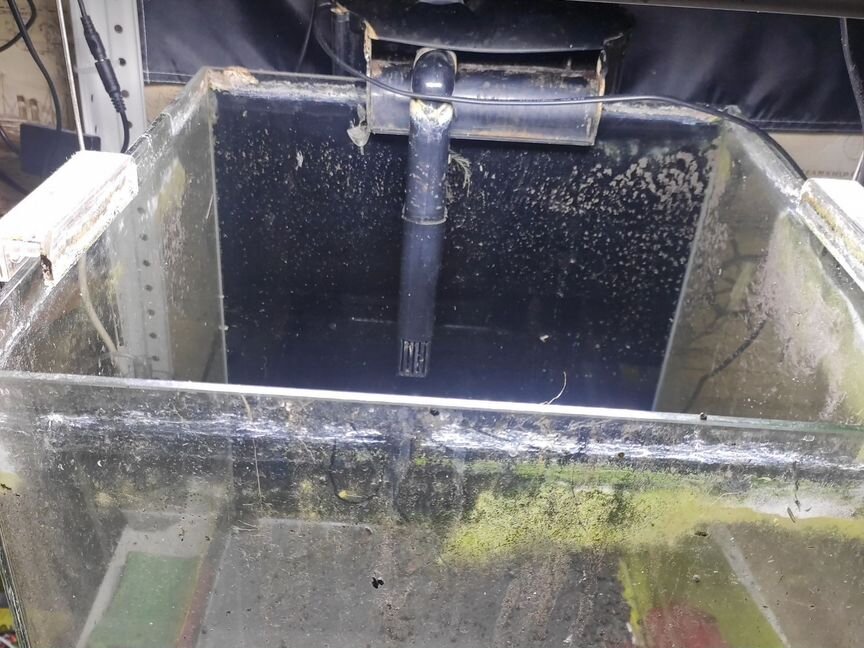 Аквариум с фильтром и светом