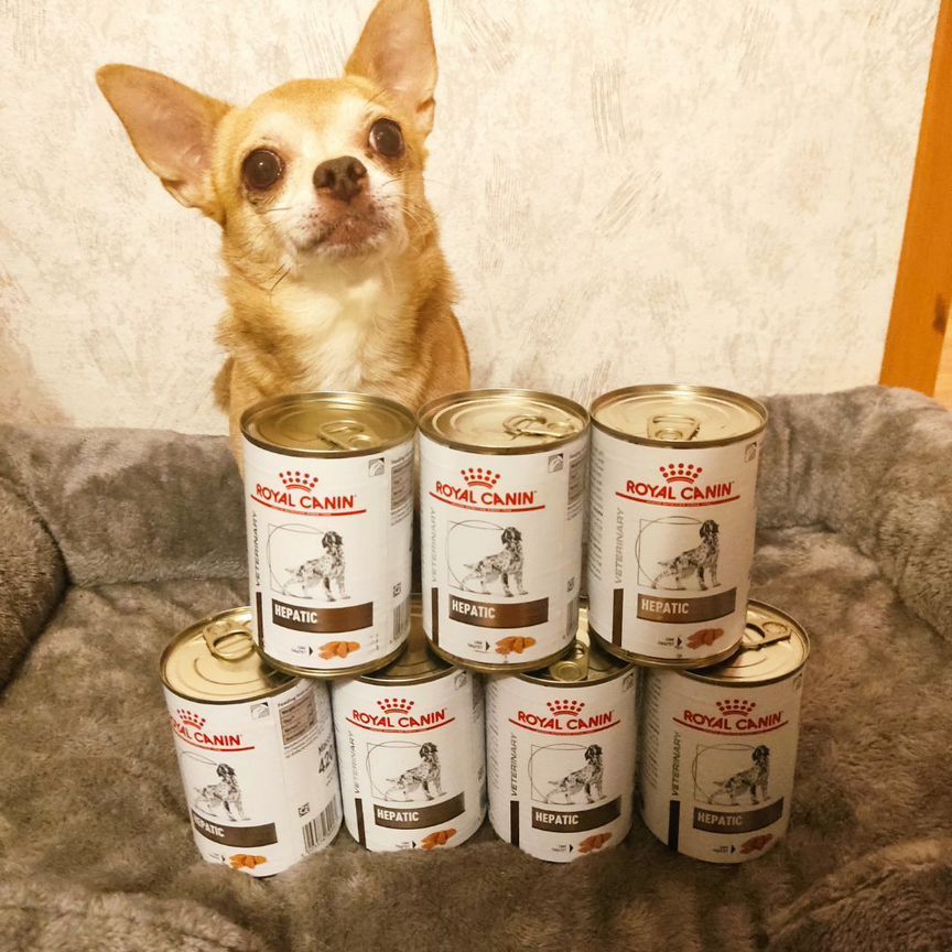 Влажный корм для собак royal canin hepatic