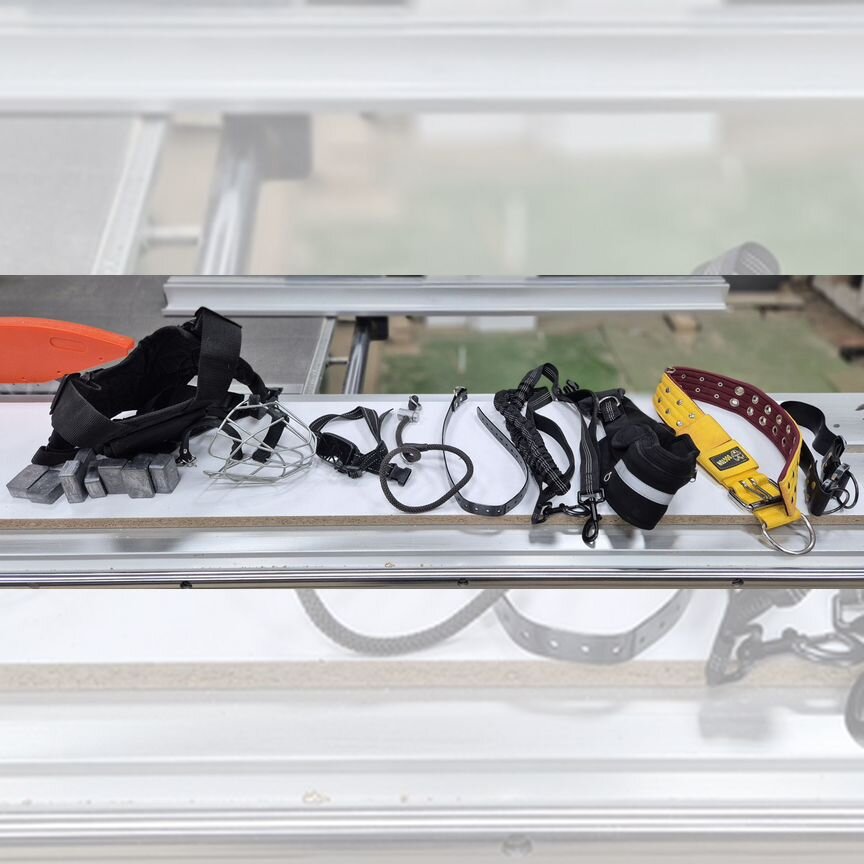 Амуниция для собак