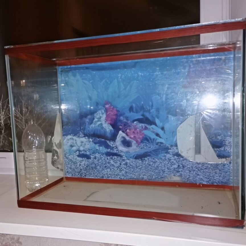 Аквариум 72*52*32