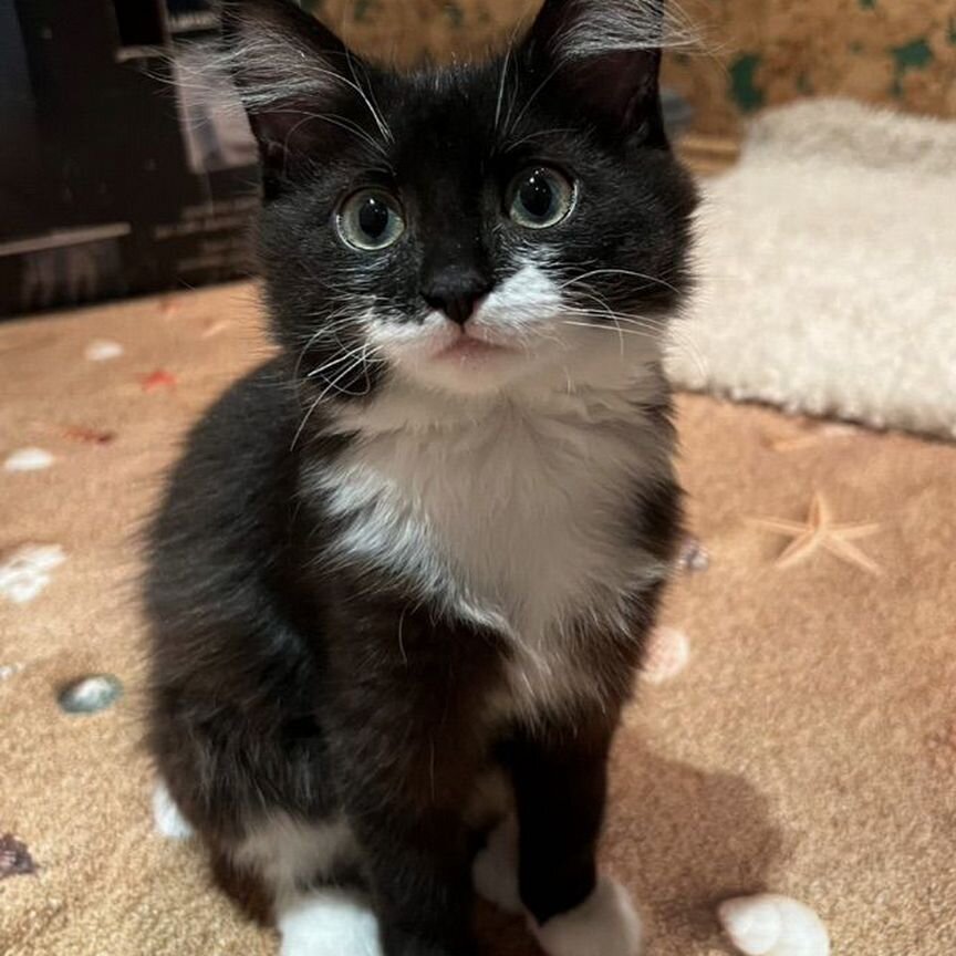 Кукленыш в добрые руки