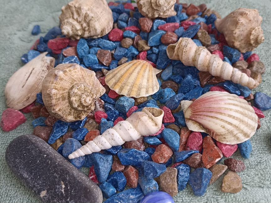 Ракушки, камешки для аквариума