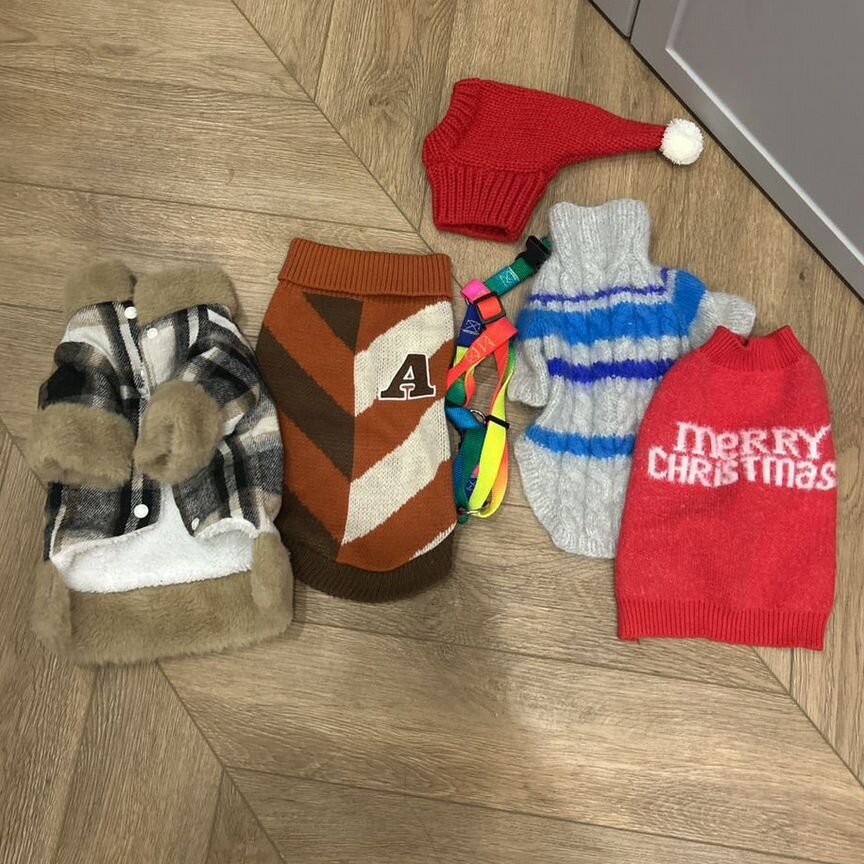 Одежда для собак мелких пород