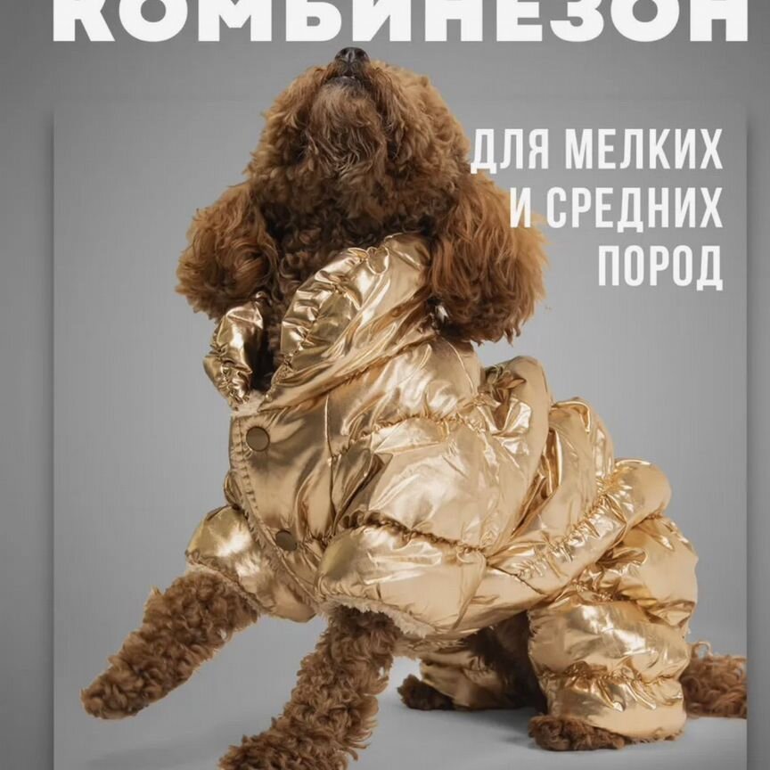 Комбинезон для собаки