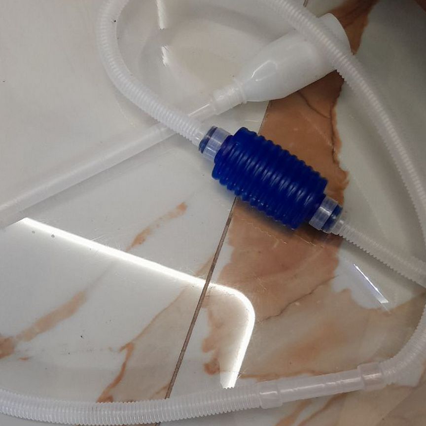 Аквариумные рыбки гуппи, меченосцы