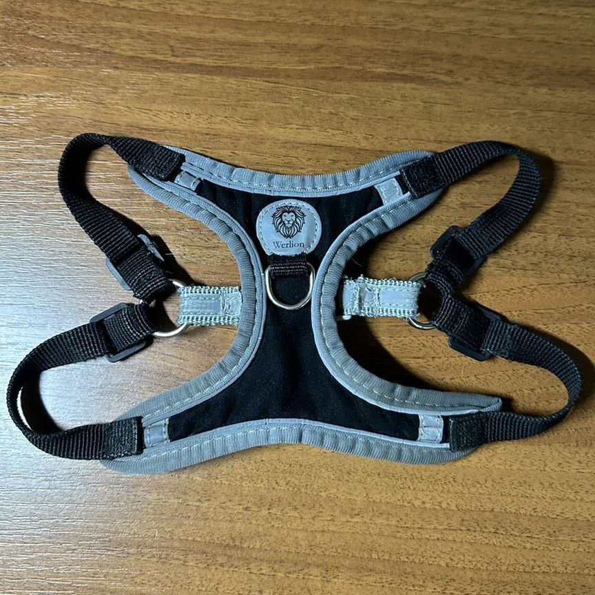 Шлейка для кошки или собак мелких пород Werlion