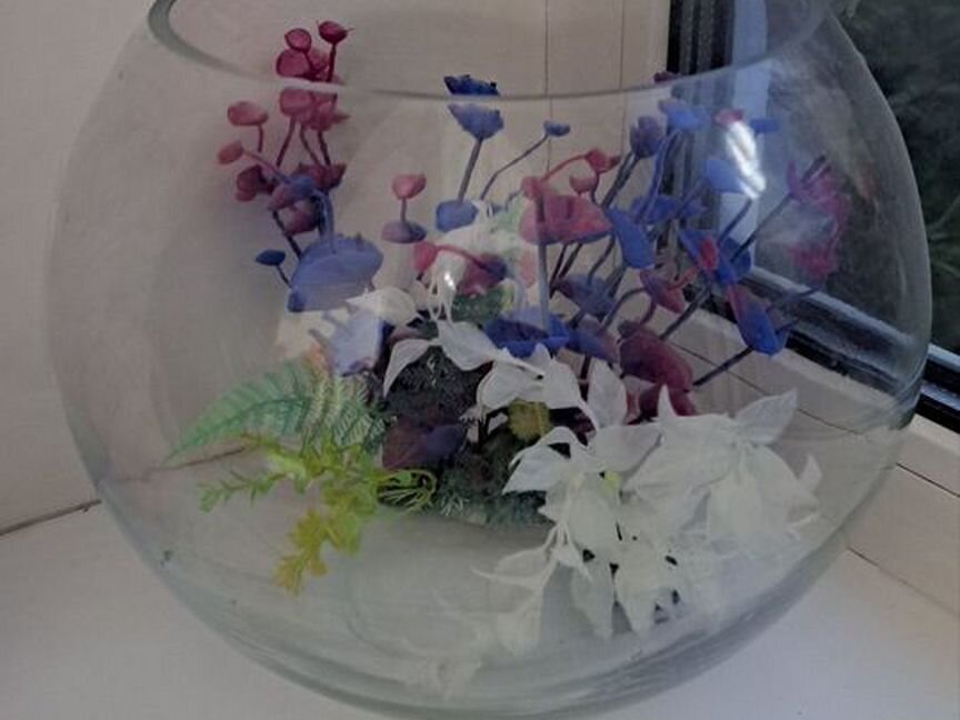 Аквариум круглый 10 литров