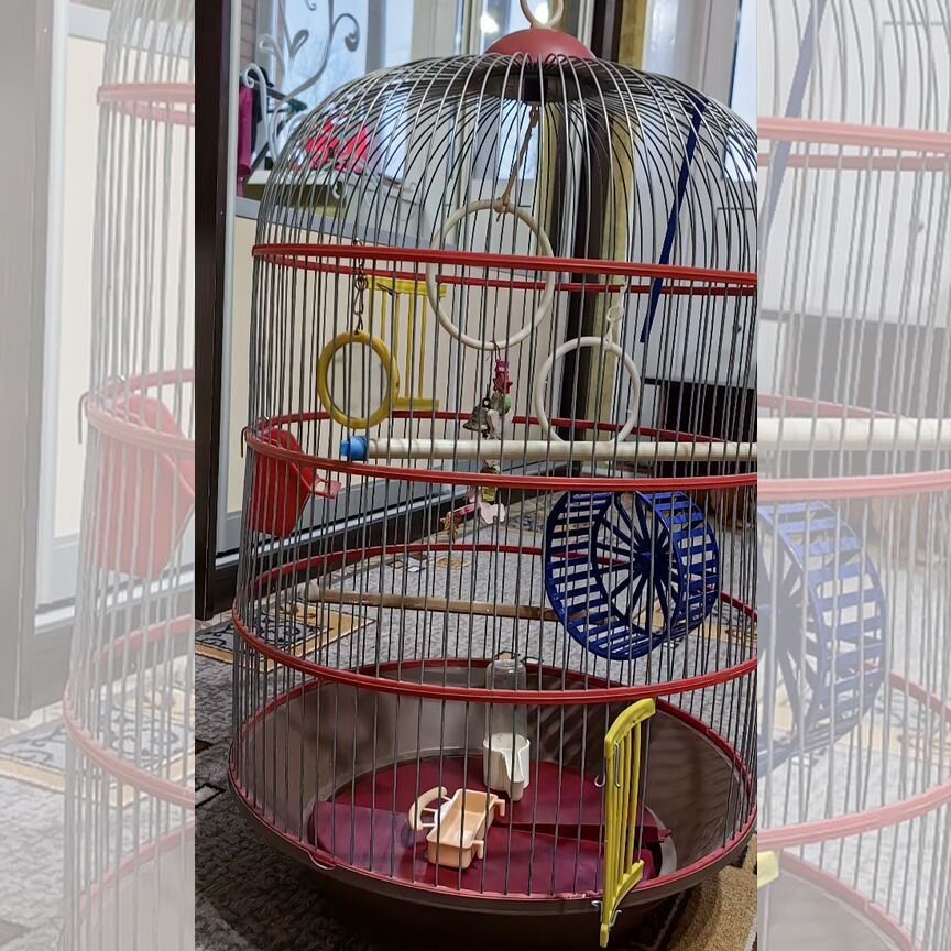 Клетка для попугая