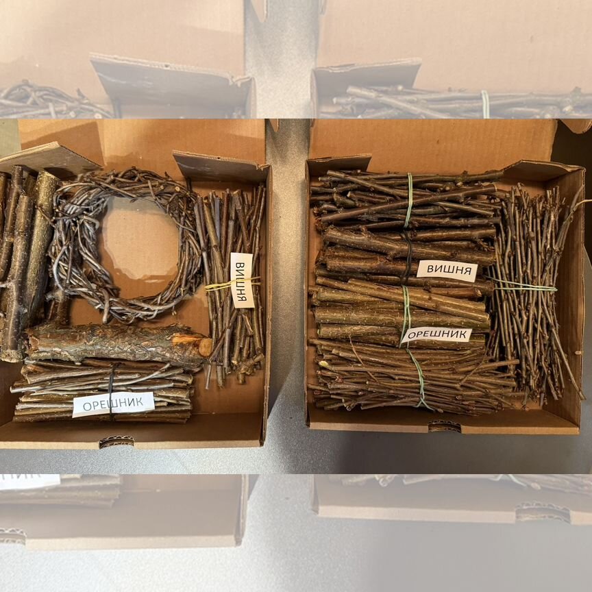 Наборы веток для грызунов и птиц 2026 г