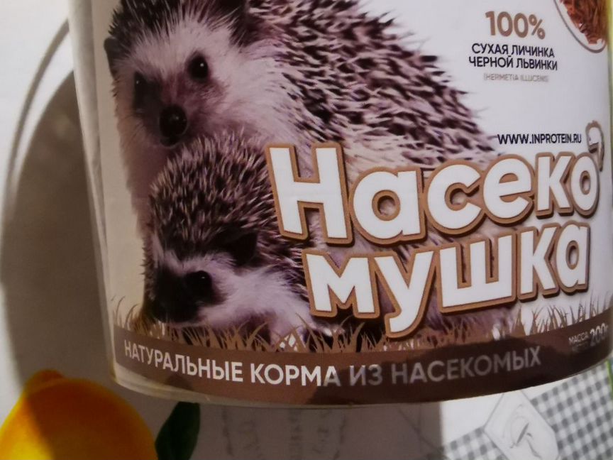 Отдам бесплатно корм для ёжика