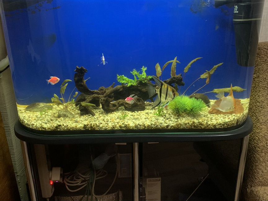 Аквариум 120 с тумбой