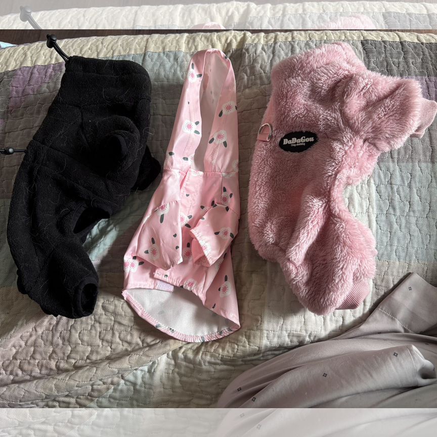 Одежда на маленькую собаку