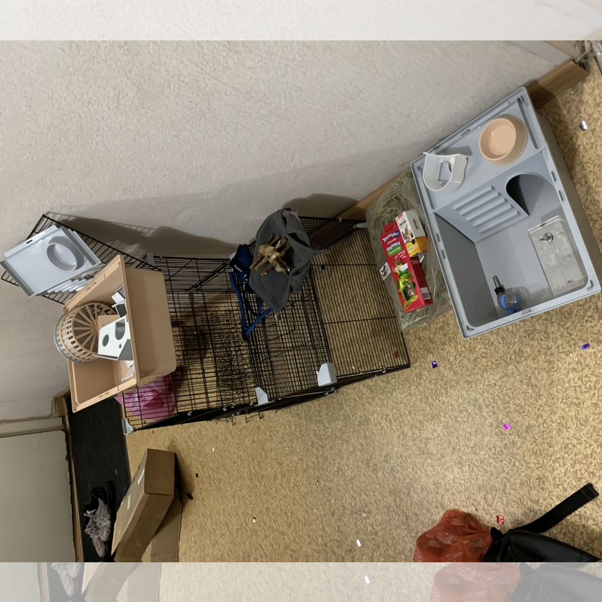 Клетка для грузынов