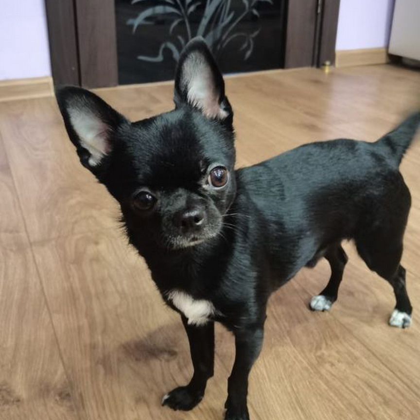 Чишка для вязки