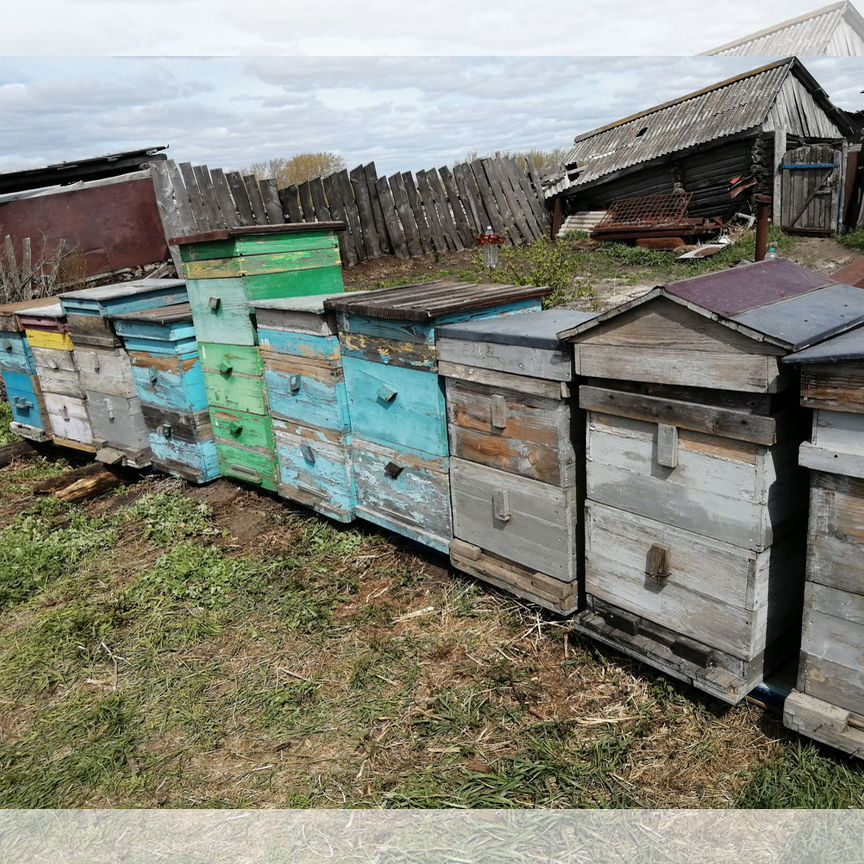 Продам ульи для пчел