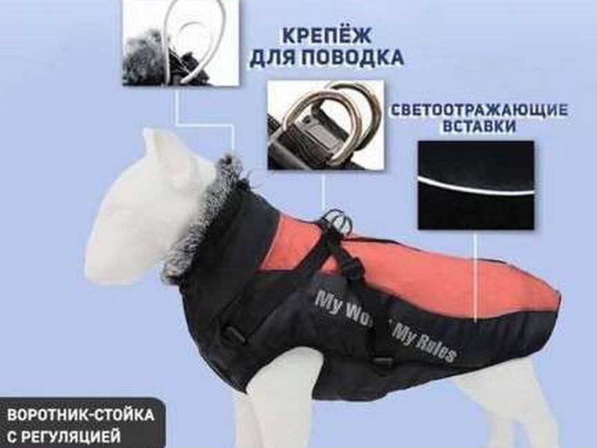 Одежда для средних собак