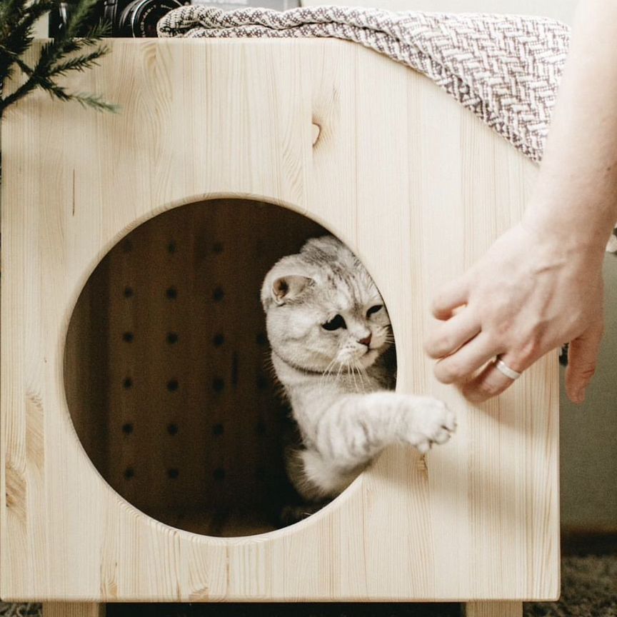Домик для кошки