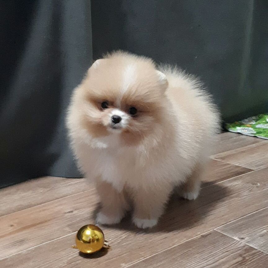 Мальчик пом