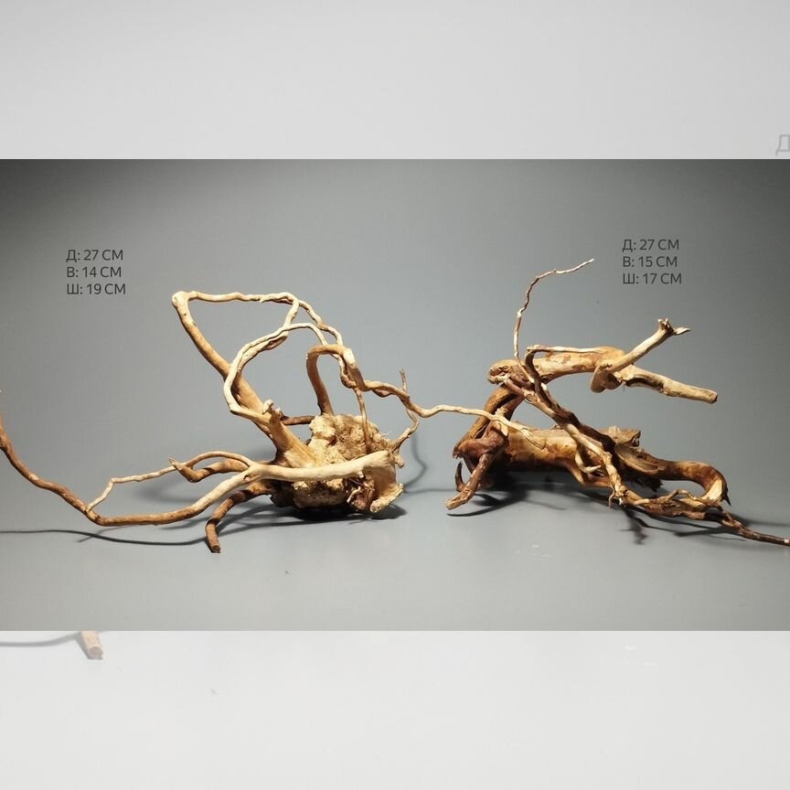 Коряги для аквариума паучий корень 2 штуки вк 12