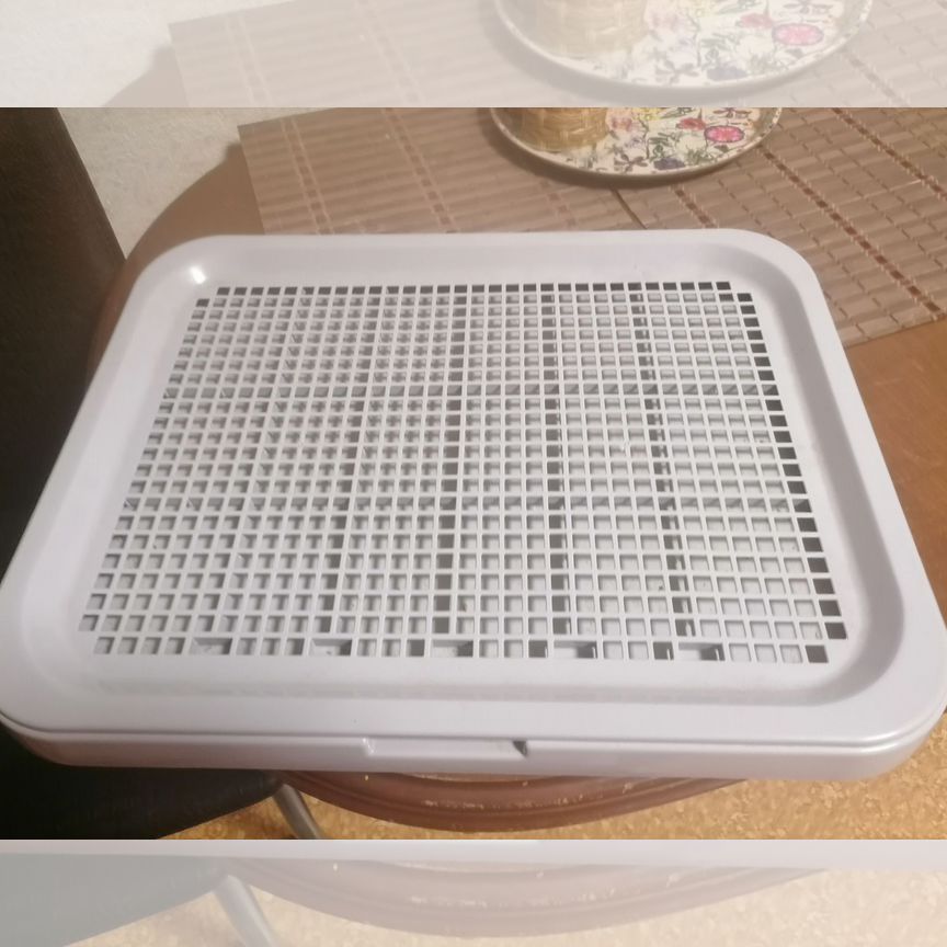 Собачий туалет