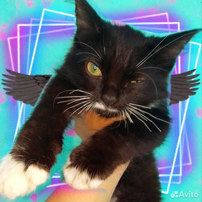 Домовёнок -Кузя