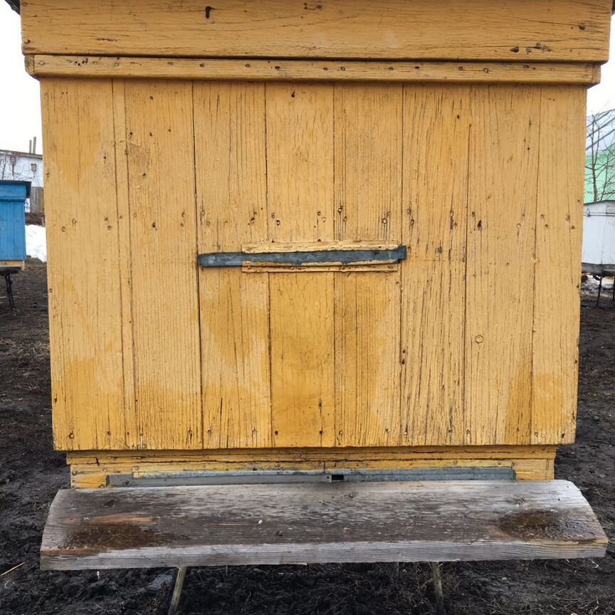 Домики для пчёл