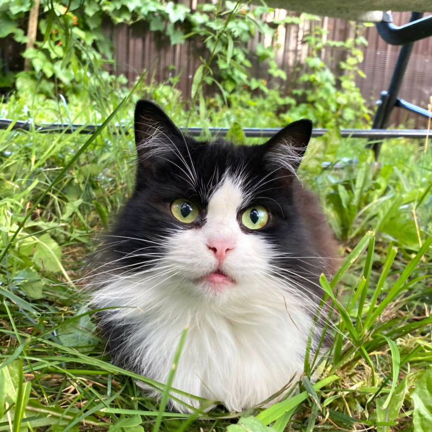 Никто не любит