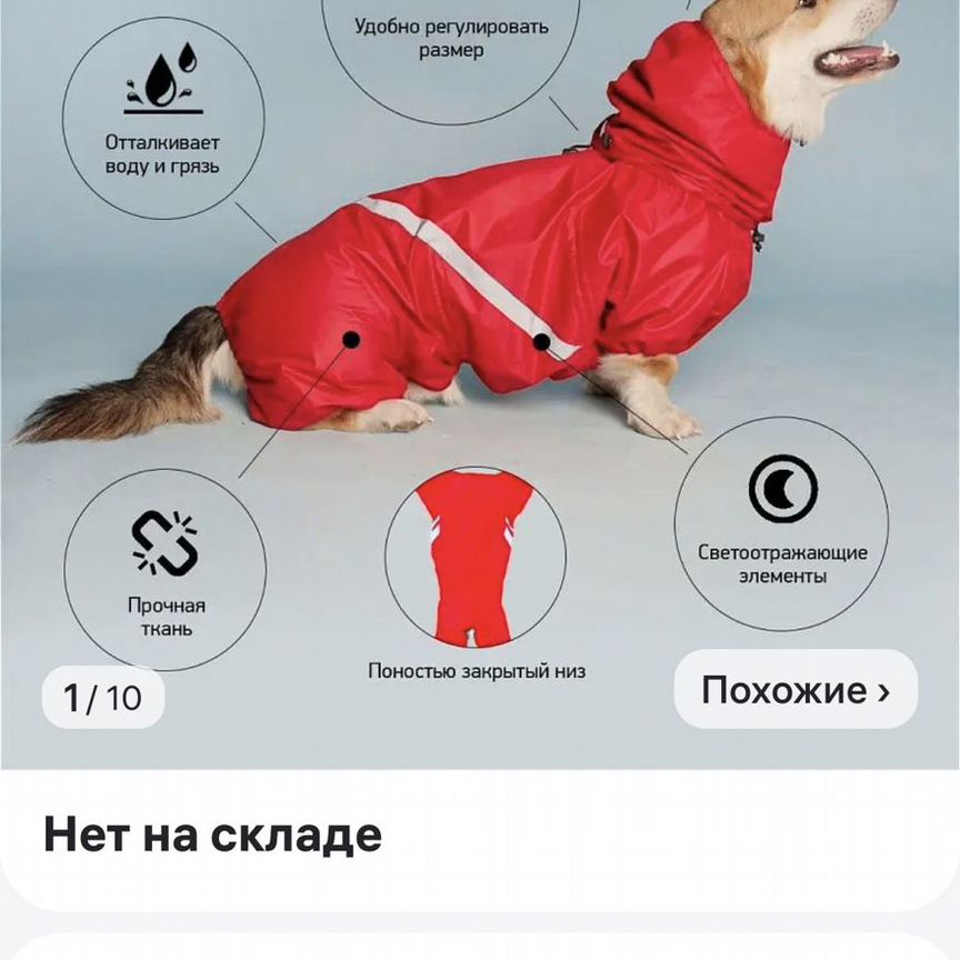 Комбинезон для корги девочки S