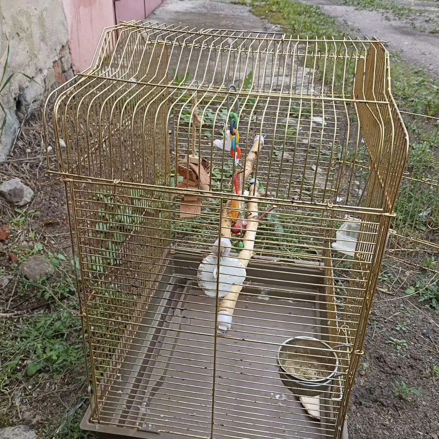 Клетка для попугая бу