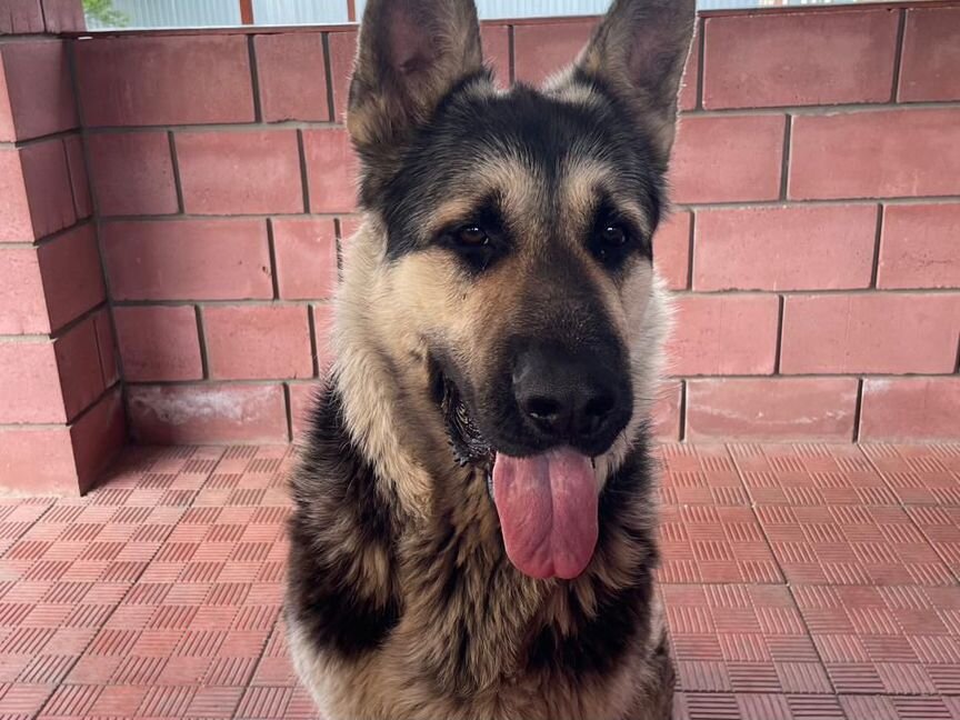 Кабель вео для вязки