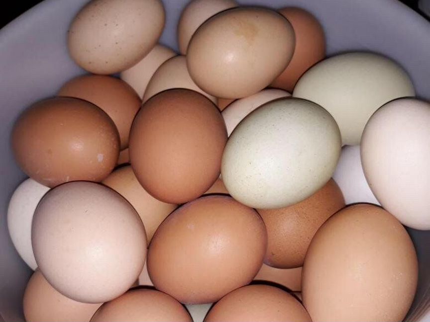 Ия Бреккель и Джерсийсий Гигант