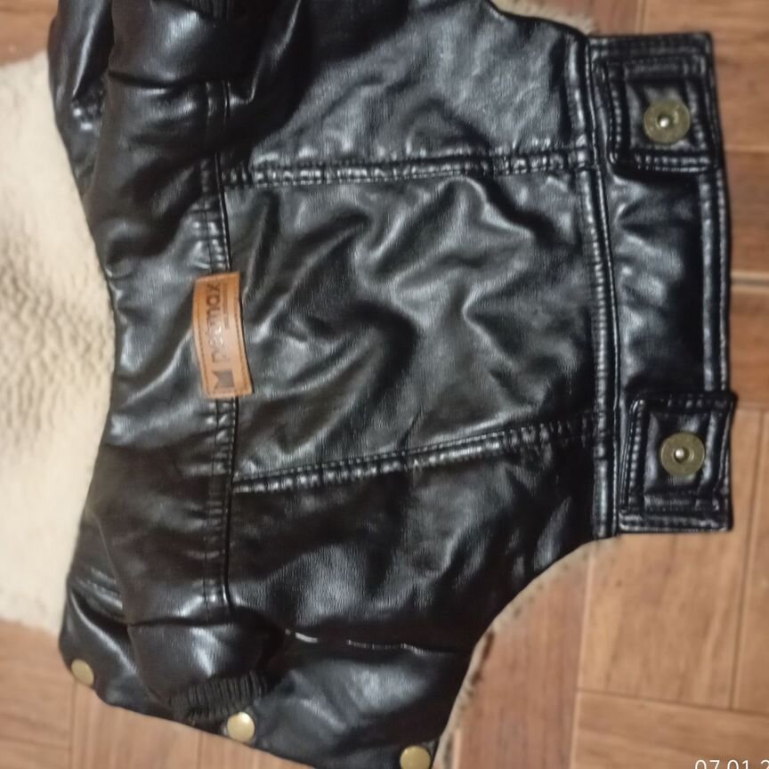 Одежда для собак