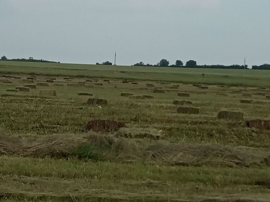 Услуги пресса