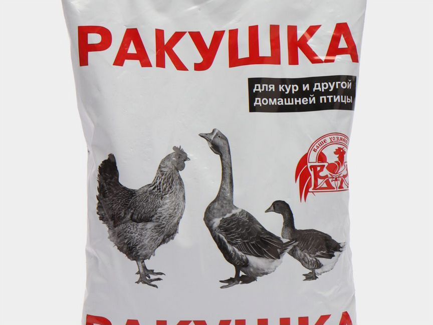 Ракушка для кур с доставкой