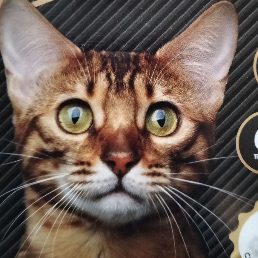 Лакомство поливитаминное для кошек