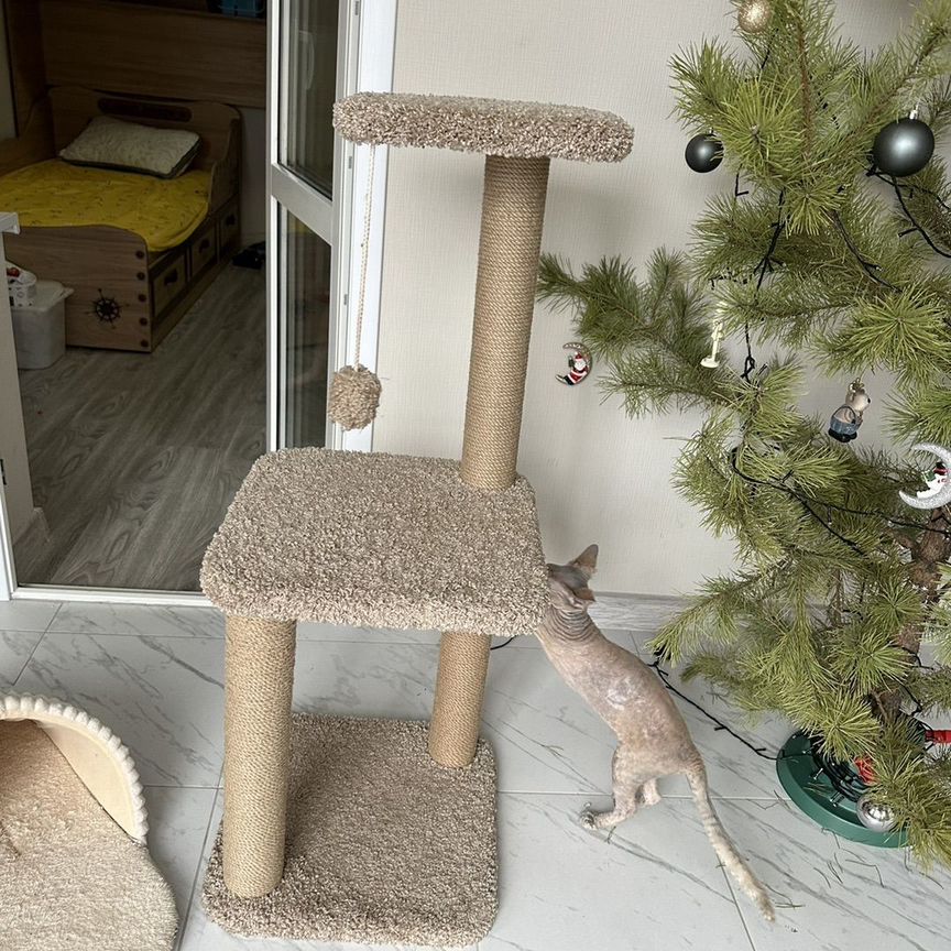 Когтеточка для кошек