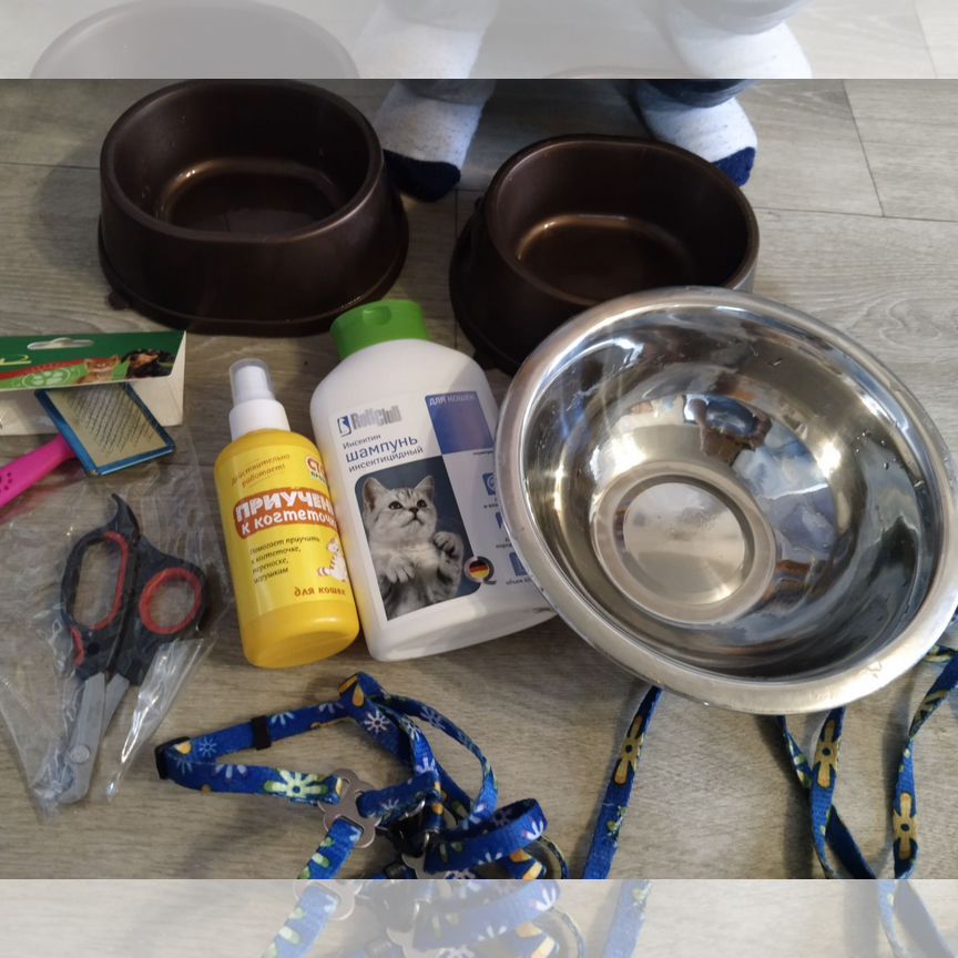 Вещи для кошек пакетом