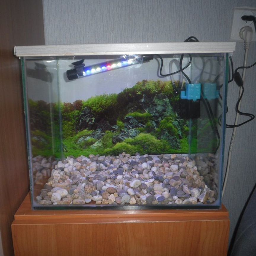 Аквариум на 30 литров