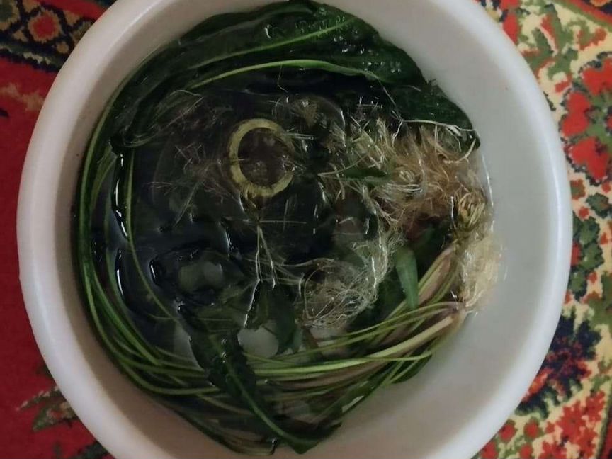 Аквариумные растения прополка