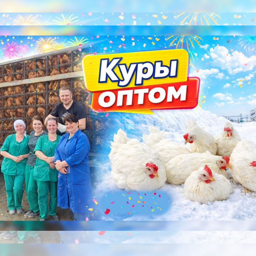 Проверенные несушки Доминант