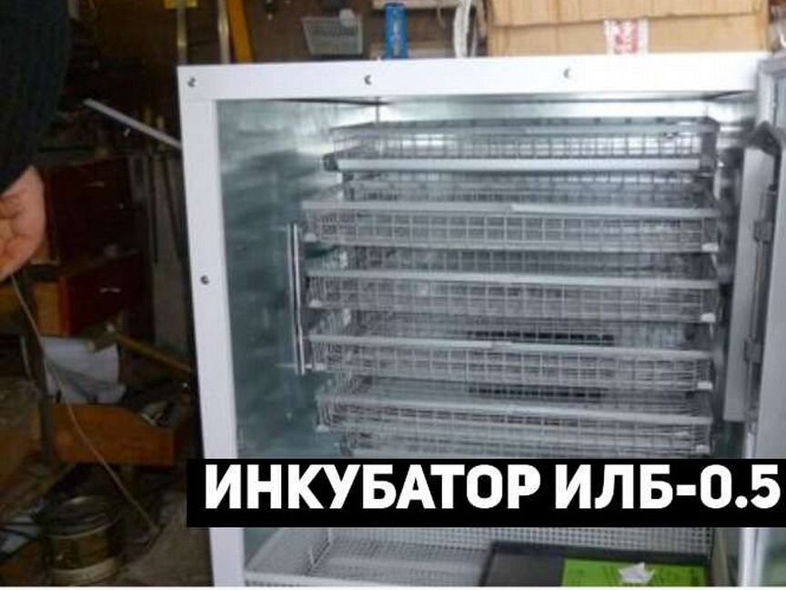 Инкубатор илб
