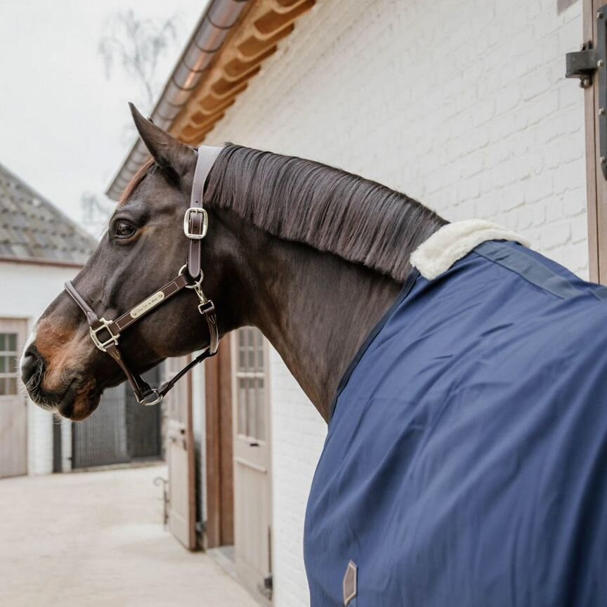 Хлопковая попона от Kentucky